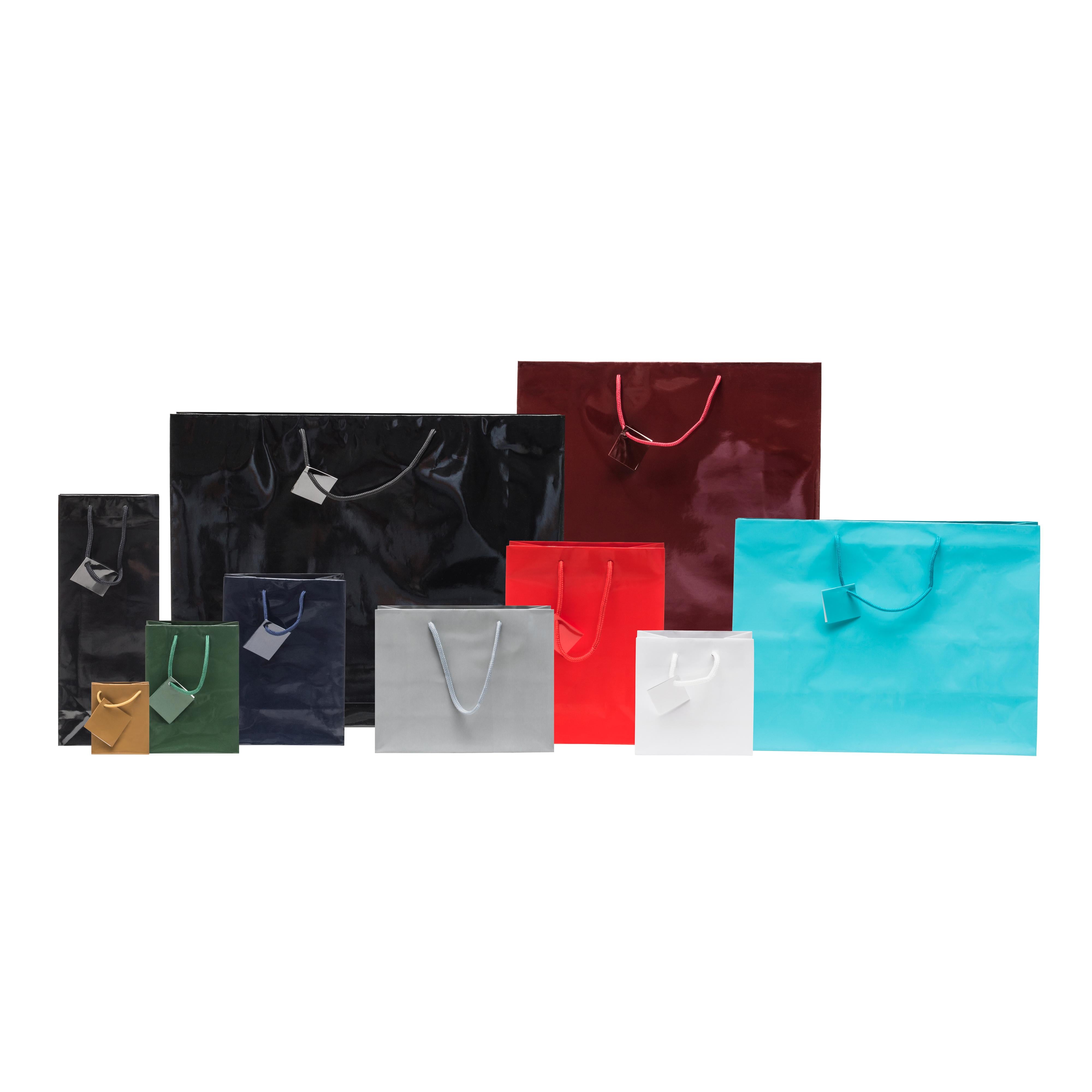 Laminated Glossy Euro Tote Paper Bags