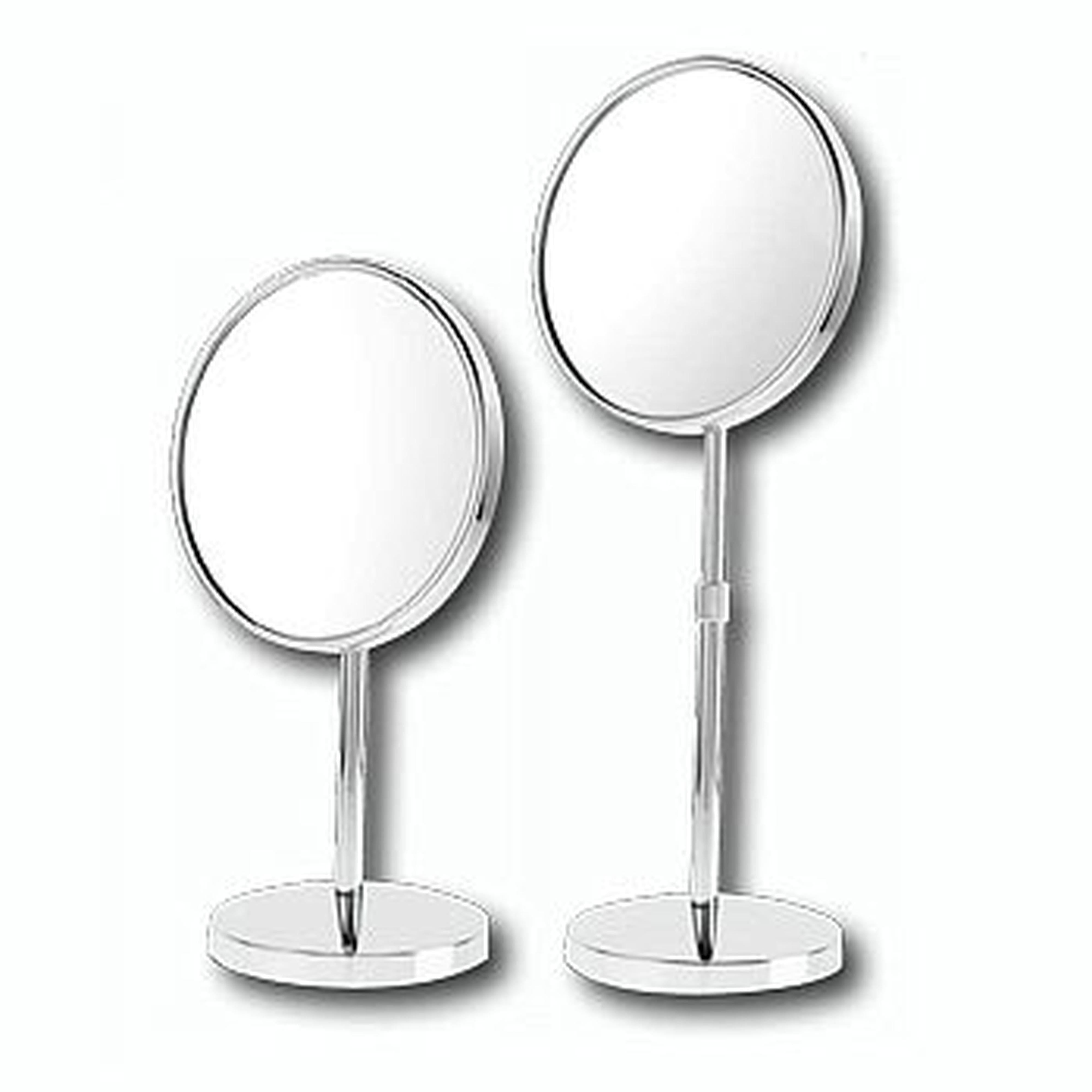 Chrome Extension Mirror 10X - True Image